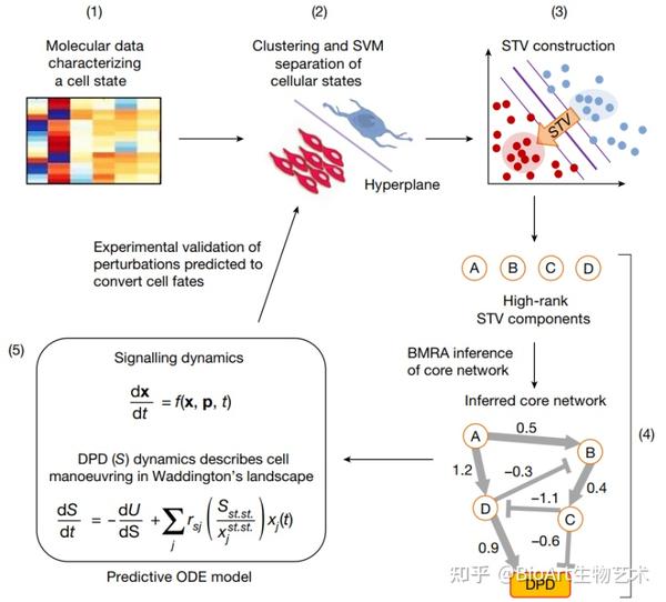 Nature ｜细胞状态转变评估调节器：cSTAR - 知乎