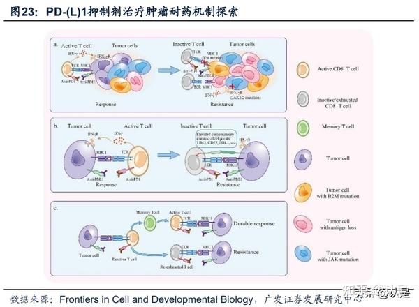 百利天恒研究报告：潜在全球大品种B01D1，多个差异化在研项目 - 知乎