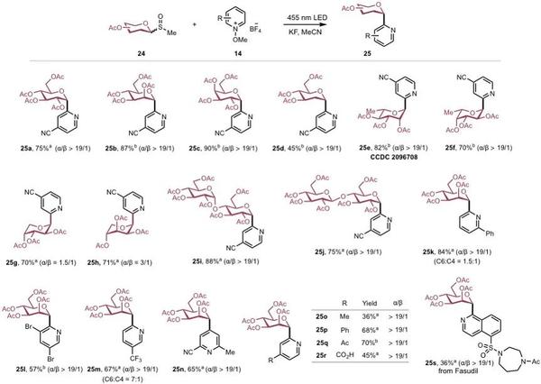 四川大学钮大文课题组Angew. Chem.：利用亚砜作为自由基前体及其在糖化学中的应用 - 知乎