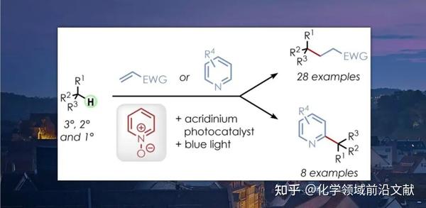 David A. Nicewicz课题组：使用吡啶N-氧化物作为HAT试剂实现脂肪族C-H键的官能团化反应 - 知乎
