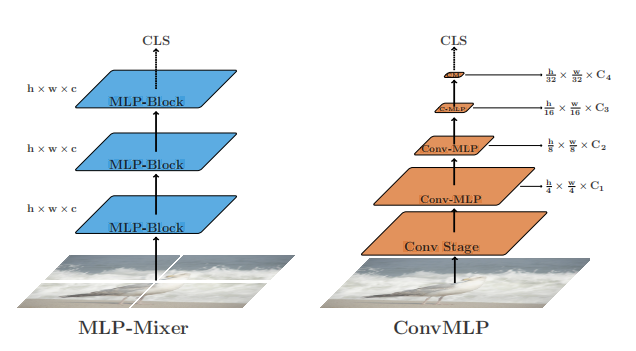 ConvMLP：你见过长得像CNN的MLP吗？UO&UIUC提出了用于视觉任务的层次卷积MLP - 知乎