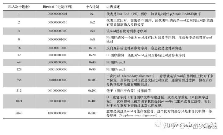 SAM文件相关的进阶知识点（上） - 知乎