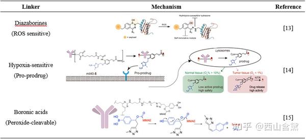ADC中可裂解Linker的机制汇总 - 知乎