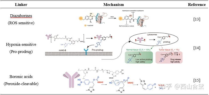 ADC中可裂解Linker的机制汇总 - 知乎