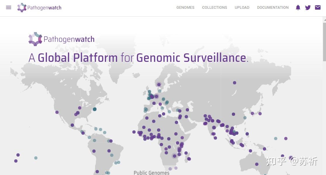 Kleborate：肺炎克雷伯菌分析 - 知乎