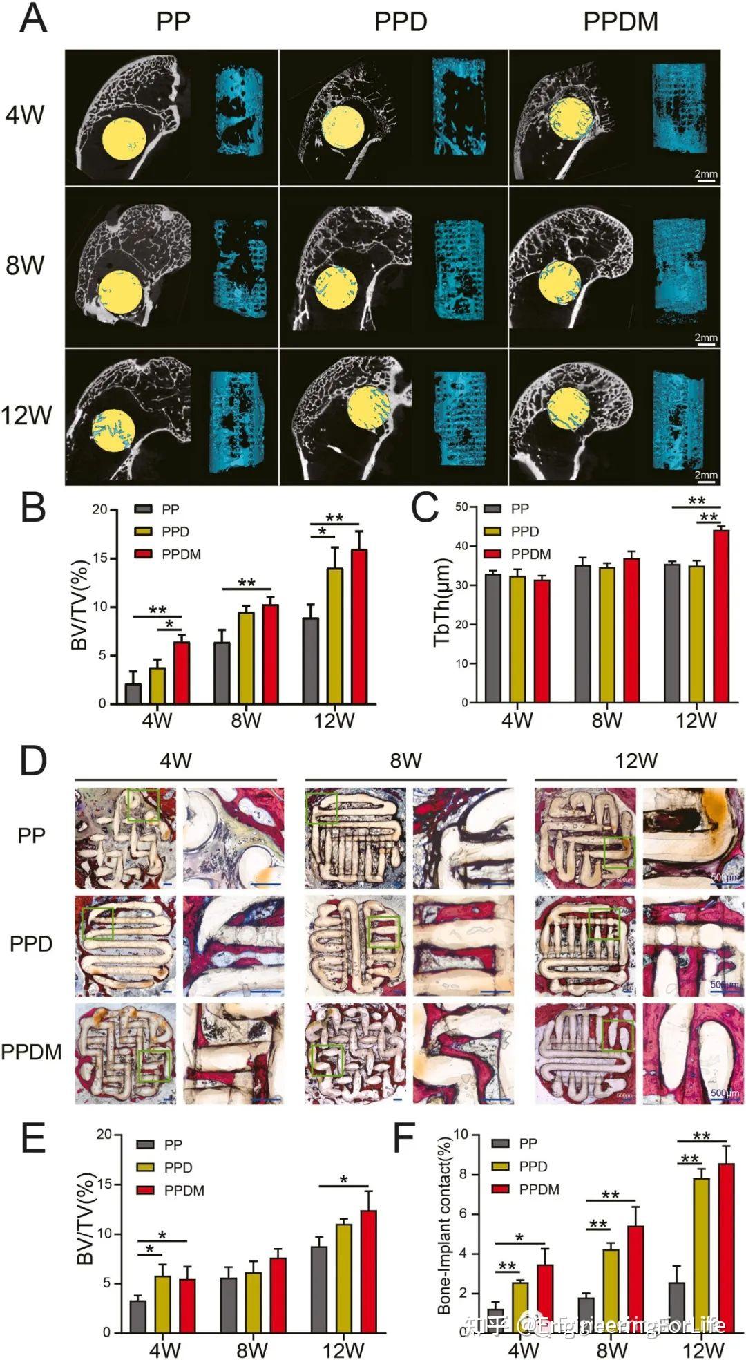 Bioactive Materials：3D打印表面活化镁离子的多孔聚醚醚酮支架 - 知乎