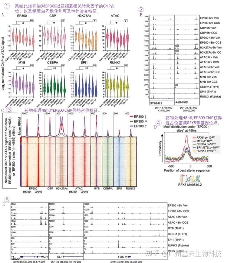 使用ChIP分析EP300获得性占位的特征 - 知乎