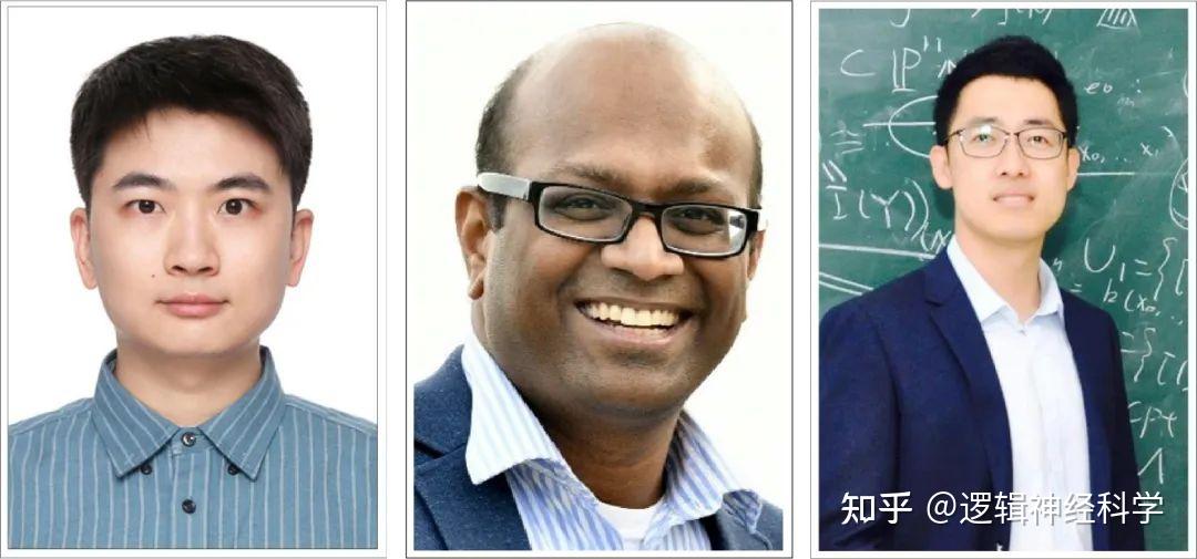 Mol Psychiatry︱复旦大学类脑智能科学与技术研究院张捷课题组揭示皮层和皮层下区域的形态学分化与儿童认知功能及精神疾病的关联 - 知乎