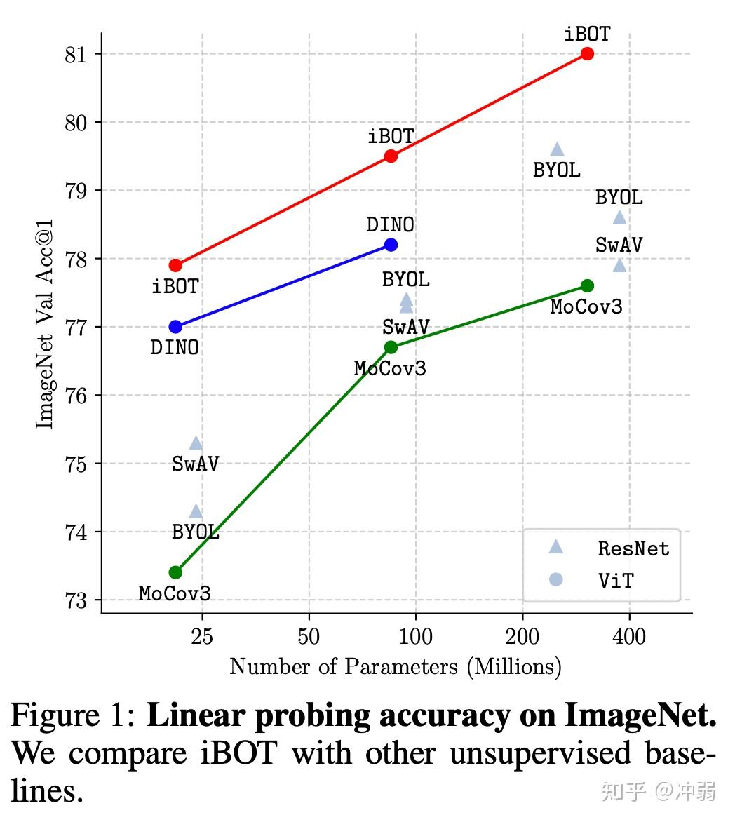 一篇文章搞懂iBOT - 知乎