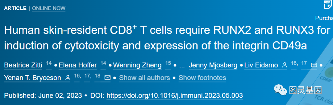 Immunity | 高水平记忆杀伤细胞可提高存活率，优化T细胞免疫疗法 - 知乎
