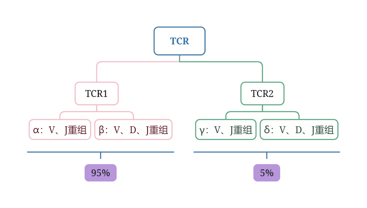 小沐同学（AI）|免疫组库100问(2)-原理篇 - 知乎
