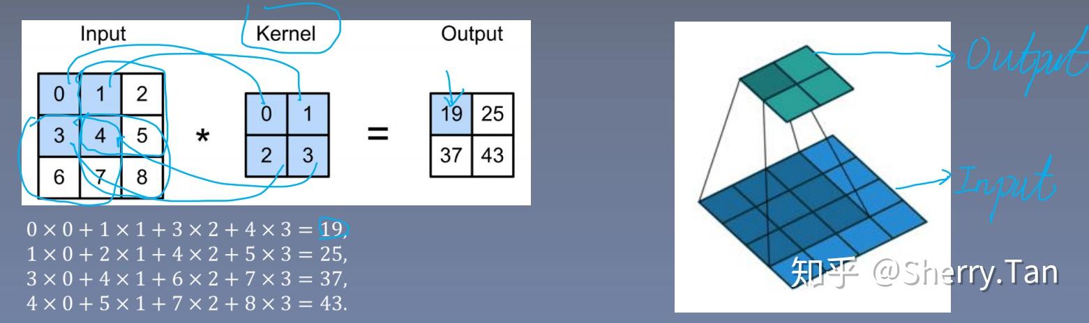 一文了解神经网络MLP(ANN), CNN, RNN - 知乎