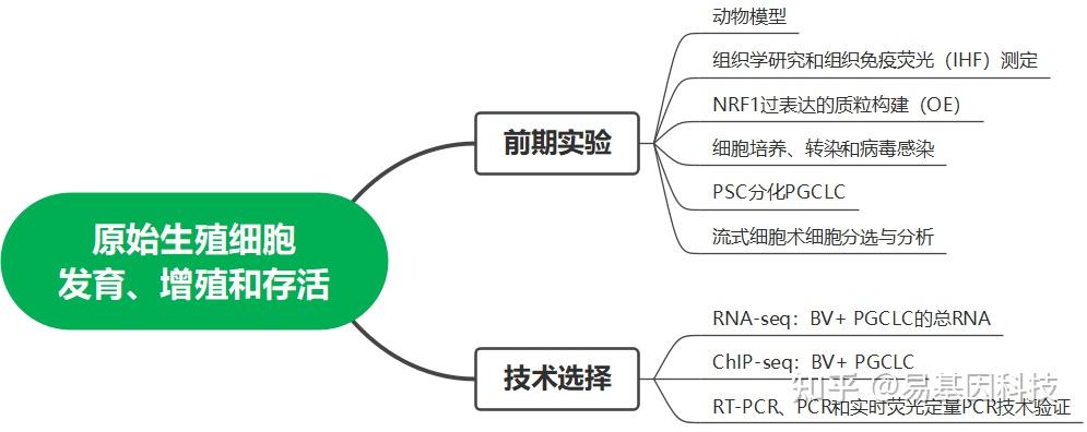 易基因：ChIP-seq等揭示转录因子NRF1调控原始生殖细胞发育、增殖和存活的表观遗传机制｜科研进展 - 知乎