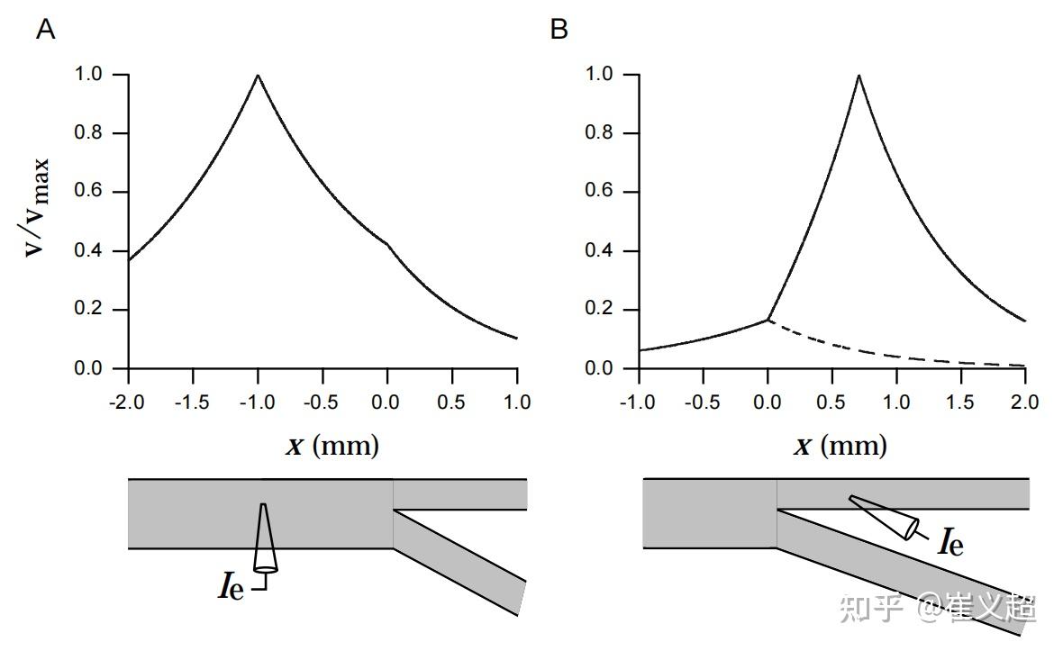 从神经科学到人工智能（八）- 树突和电缆理论（cable theory） - 知乎