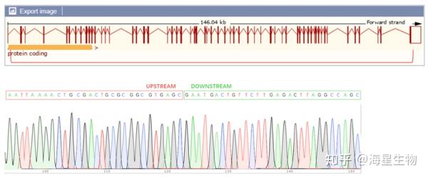 分子诊断标准品(细胞株)定制 - 知乎