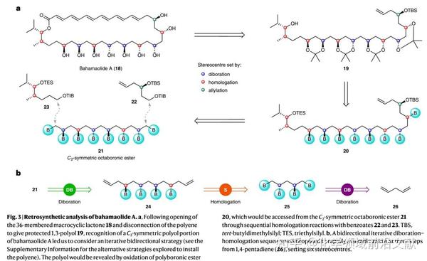 Nat. Chem.：1,3-聚硼酸酯的高立体控制合成及全合成应用 - 知乎