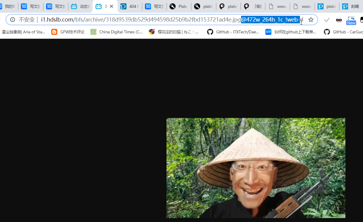 使用PID快速下载插画原图 （PIXIV.RE/.jpg PIXIV.NL） - 知乎