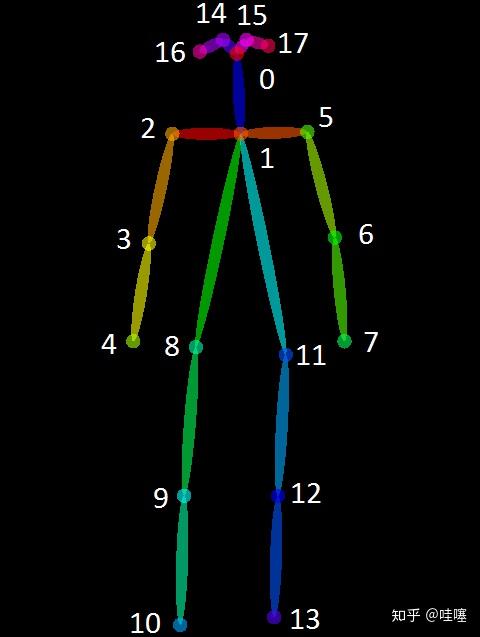 重新思考人体姿态估计 Rethinking Human Pose Estimation - 知乎