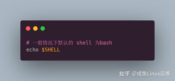 关于 Bash 脚本中 Shebang 的趣事 - 知乎