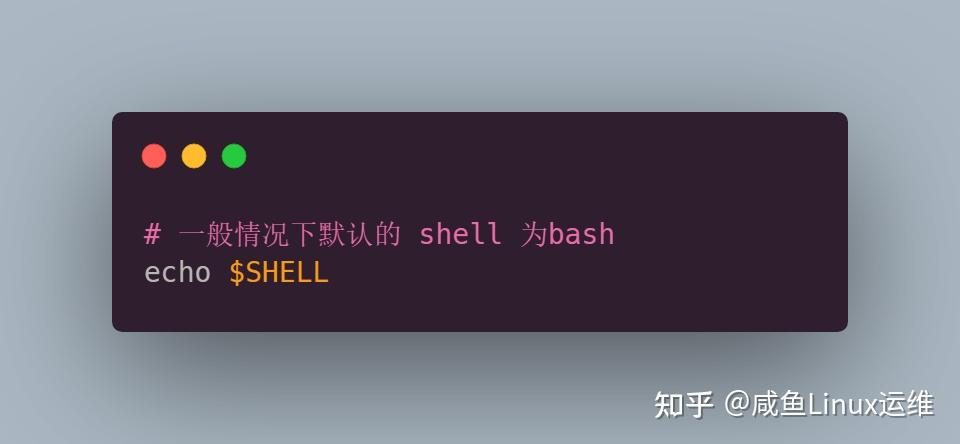 关于 Bash 脚本中 Shebang 的趣事 - 知乎