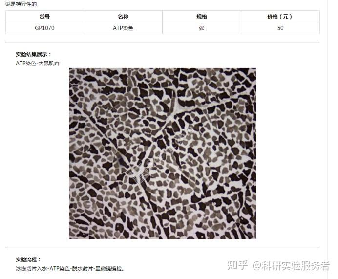 ATP染色实验报告及结果展示-郑核 - 知乎