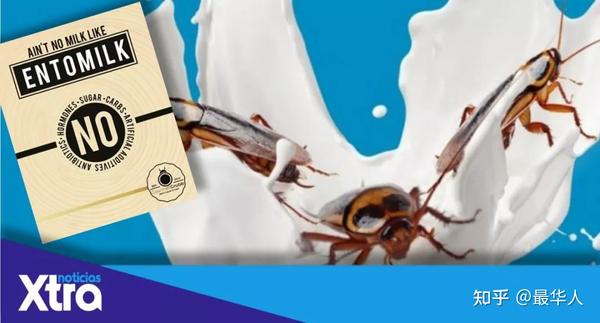 别卷了，蟑螂奶才是真正的“奶届之王” - 知乎