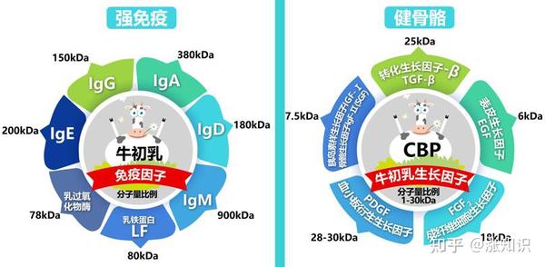 CBPS科普：牛初乳1-900kDa分子量比例图解 - 知乎