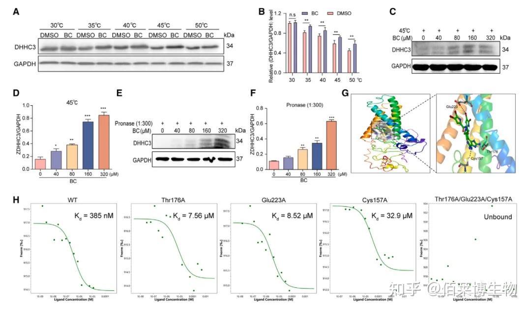 如何验证药物与靶点蛋白结合的关键氨基酸位点？MST微量热泳动技术分享 - 知乎