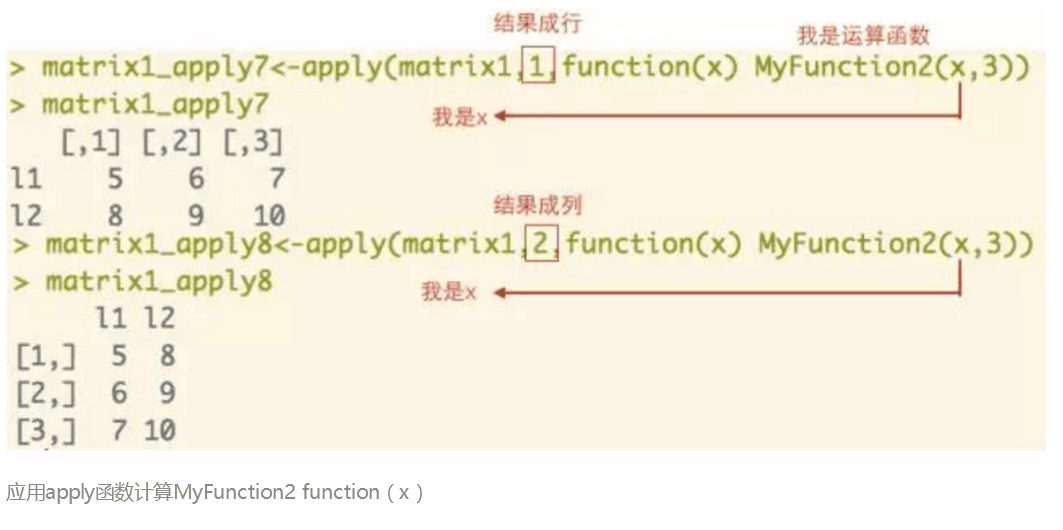 R点石成金三人组：apply,lapply,sapply - 知乎