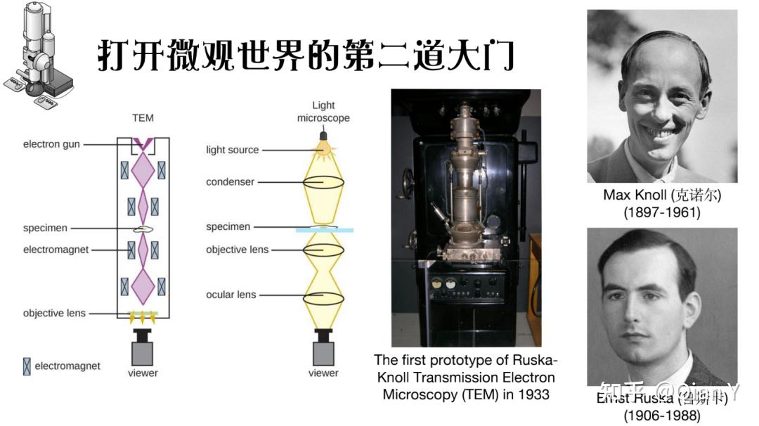 微观联接组（上）| 电镜技术发展 - 知乎