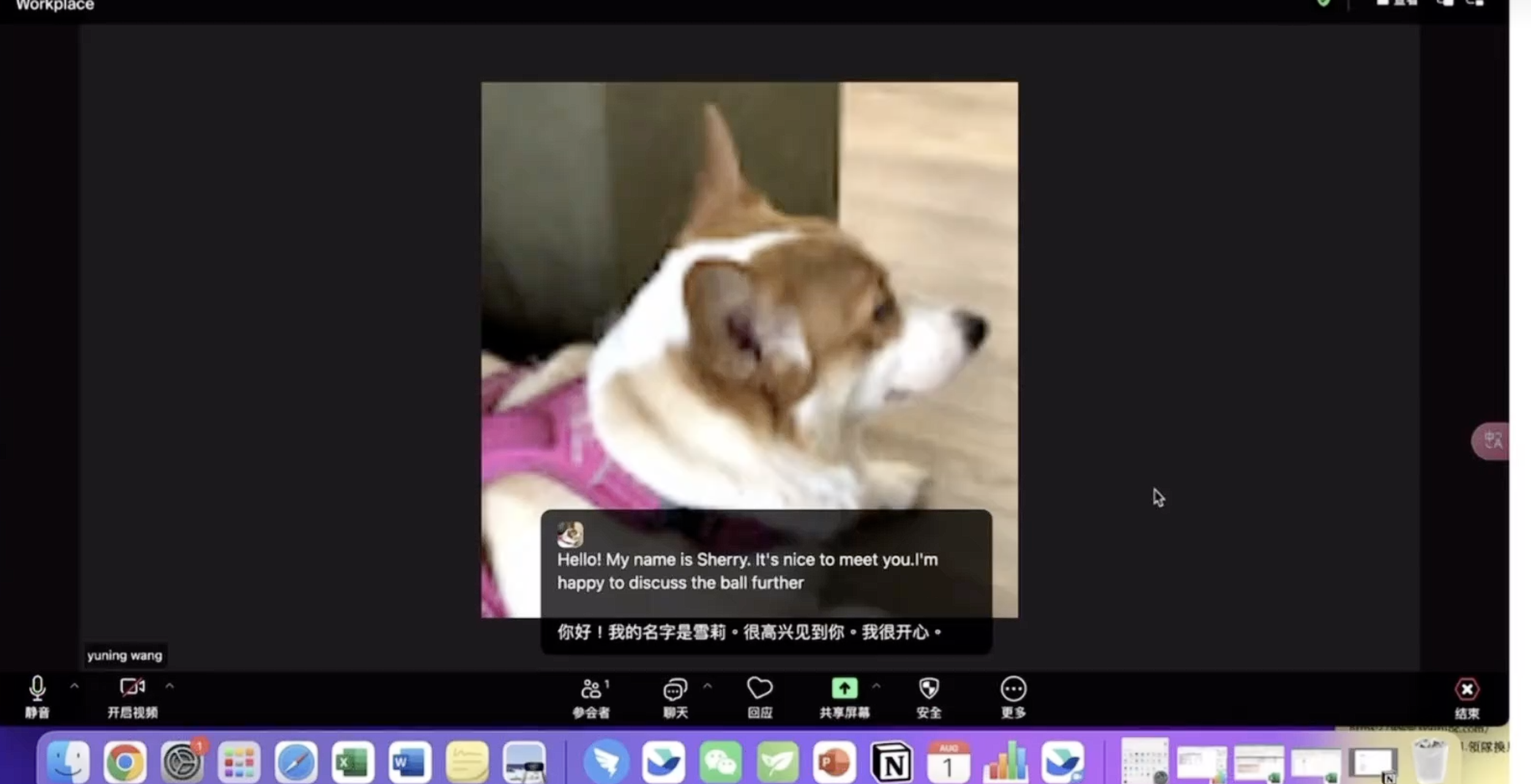 盘点ZOOM会议实时翻译的几种有效方案 - 知乎