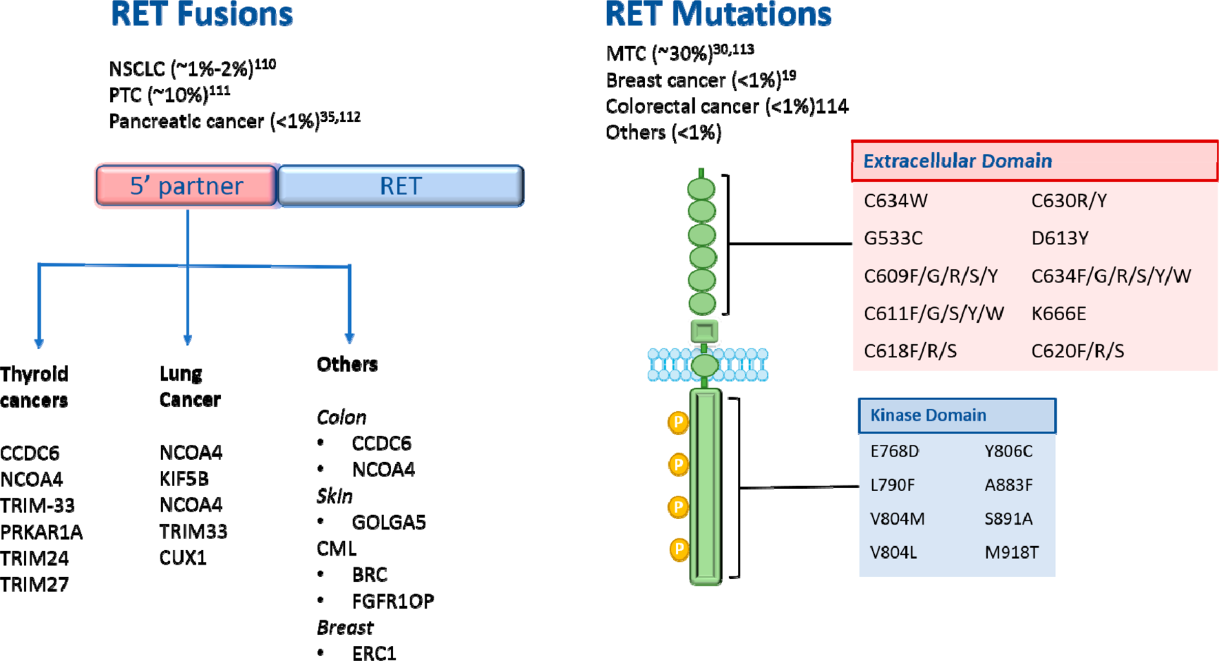 药物发现│RET激酶抑制剂的研究进展 - 知乎