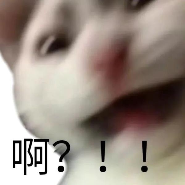 啊！！！！！表情包 - 知乎