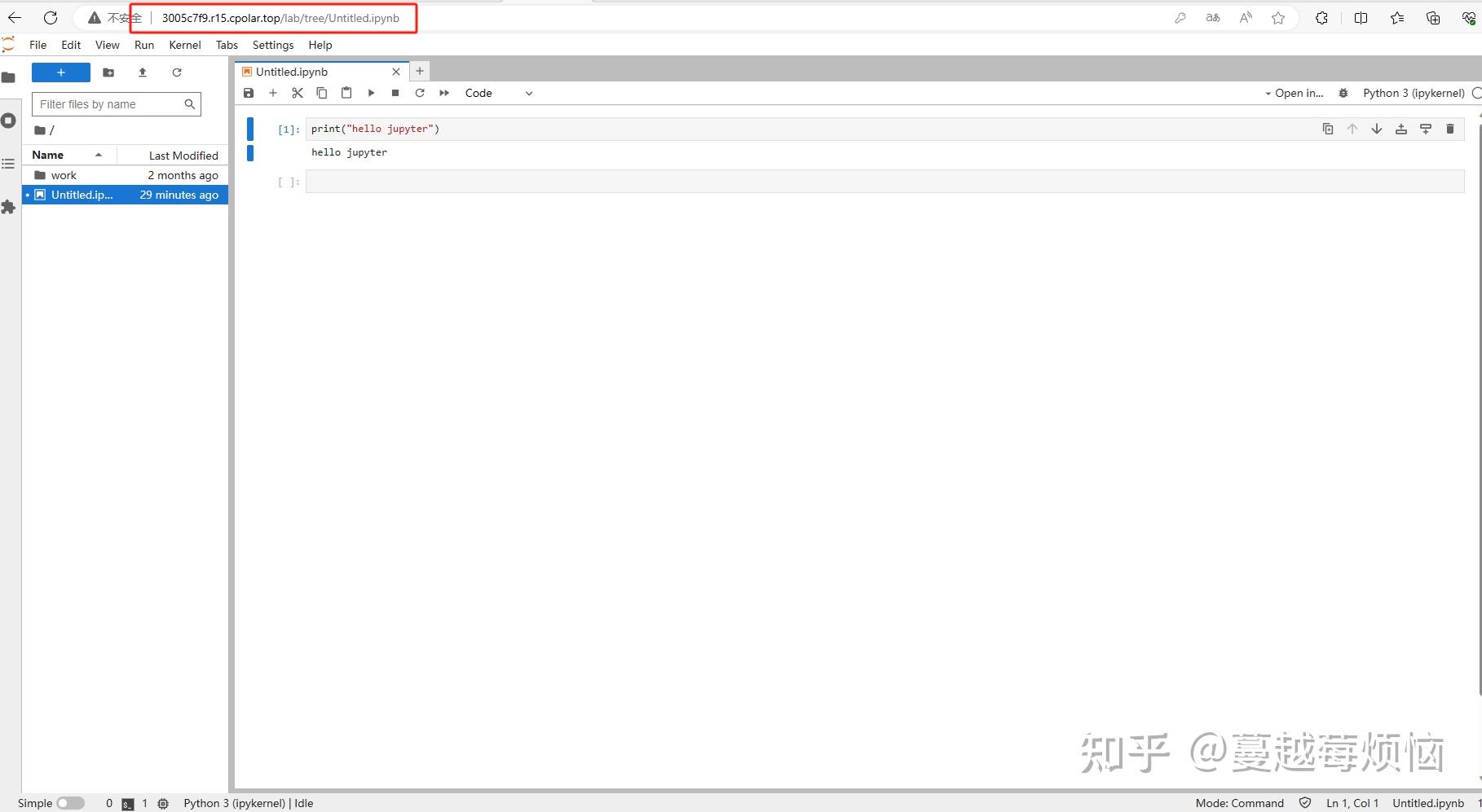使用Docker本地部署Jupyter Notebook并结合内网穿透实现远程访问 - 知乎