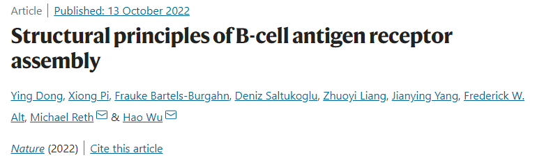免疫系统中的关键受体BCR结构解析 | 水木视界iss.33 - 知乎