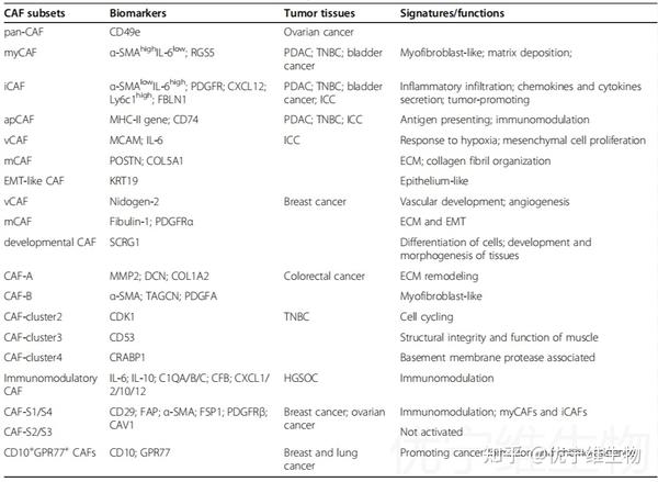 【罗工流式秘籍76】快速了解肿瘤相关成纤维细胞（CAFs） - 知乎