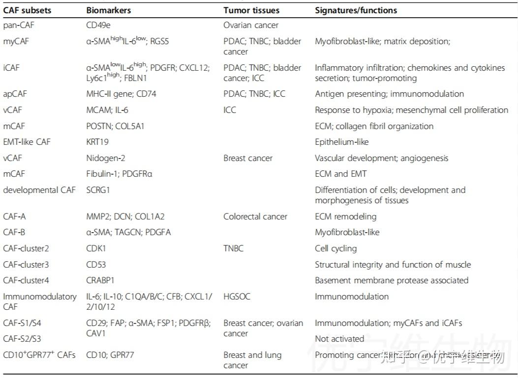 【罗工流式秘籍76】快速了解肿瘤相关成纤维细胞（CAFs） - 知乎