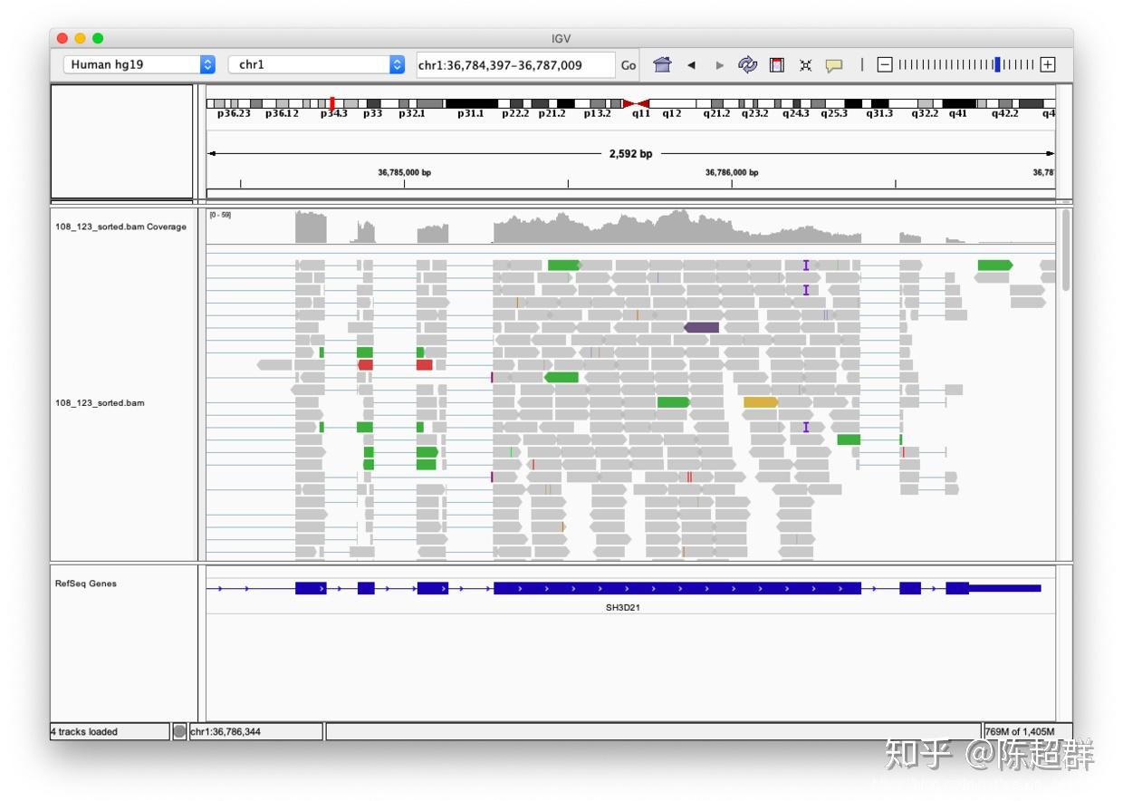 RNA-seq：转录组数据分析处理(上) - 知乎