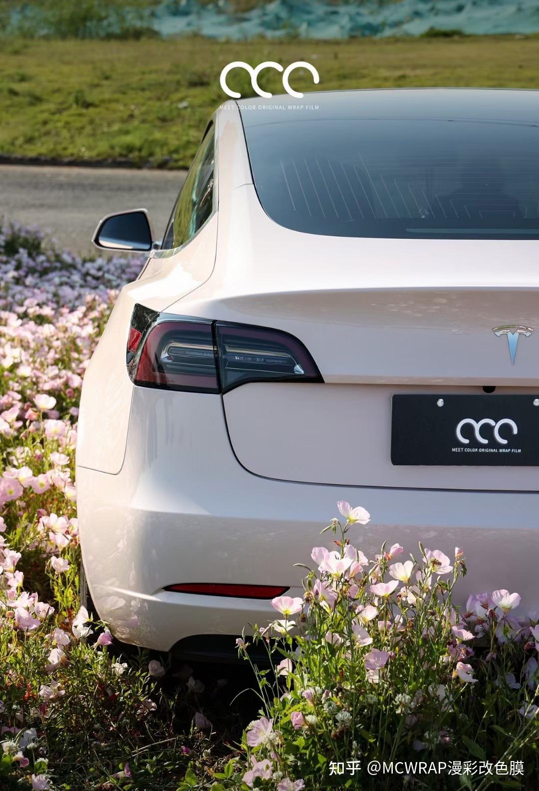 特斯拉Model 3 漫彩改色膜PET常玉粉 - 知乎