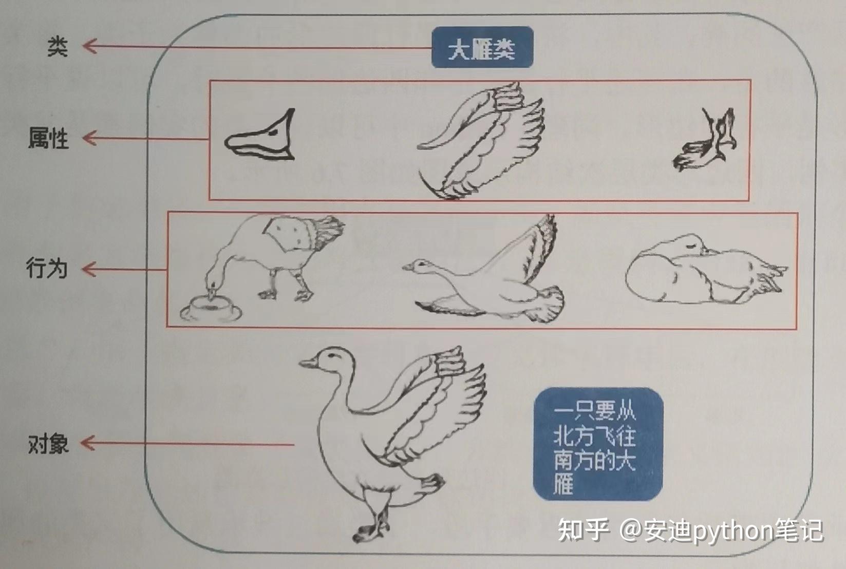 59 Python的类与对象 更新 知乎 0894