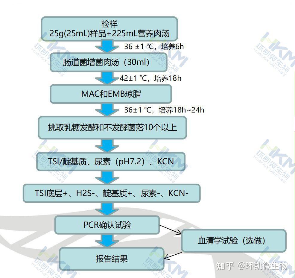 GB4789-6-2016 致泻大肠埃希氏菌检验及注意事项 - 知乎