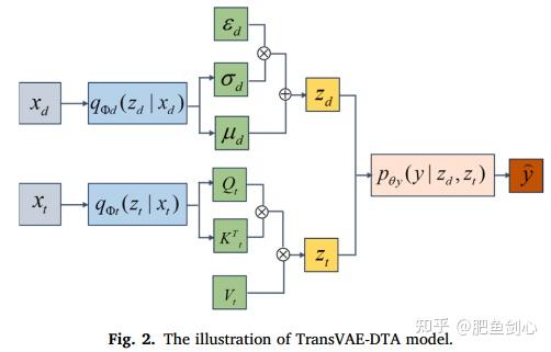 论文笔记22|TransVAE-DTA Transformer and variational autoencoder network for drug-target ...... - 知乎