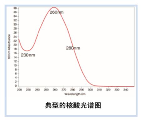科普讲堂 | 核酸定量常用方法及原理 - 知乎
