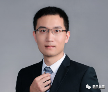 Nat Methods | 南方科技大学实现AI光场重建细胞3D纳米级超分辨率成像 - 知乎