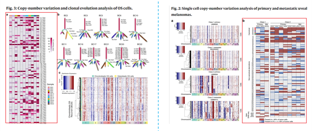 【代码更新】单细胞分析实录(20): 将多个样本的CNV定位到染色体臂，并画热图 - 知乎