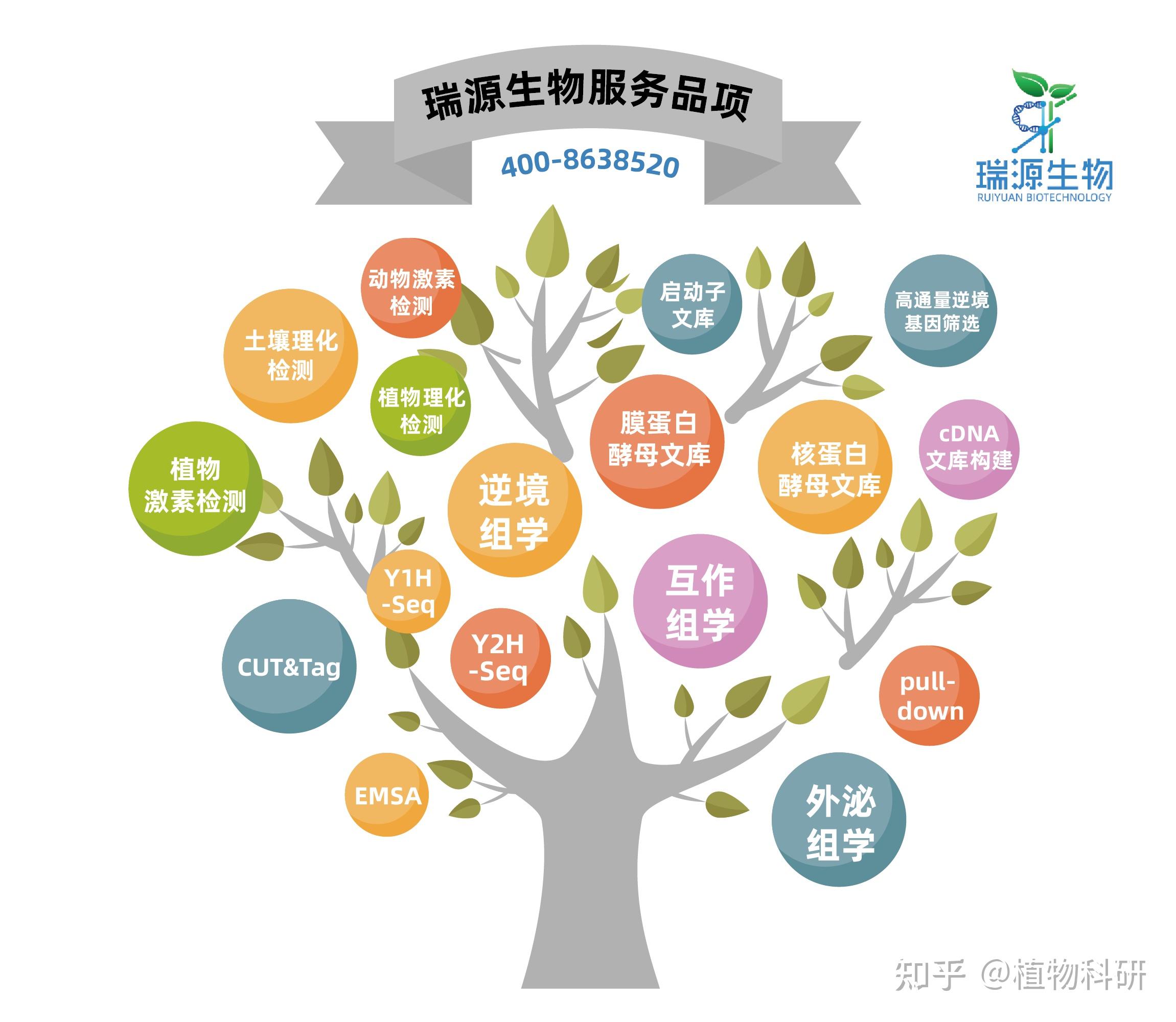 科学家发明的这种新的酵母三杂交/Y3H载体pBT，你已经用上了吗？ - 知乎