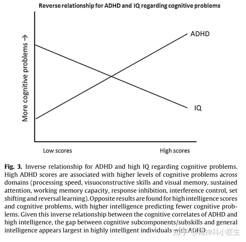 高智商ADHD（多动症） - 知乎