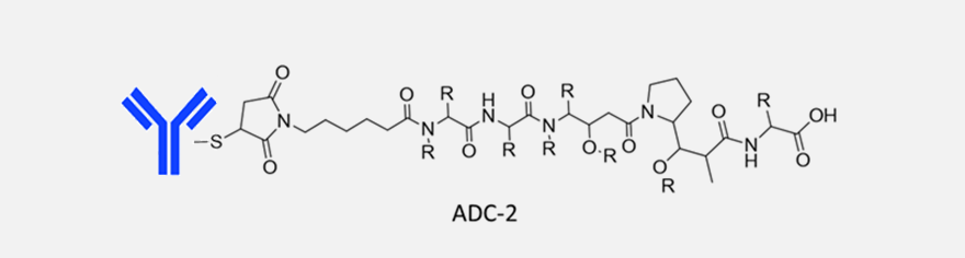 抗体偶联药物（ADC）小分子毒素释放和代谢的研究模型和分析方法 - 知乎