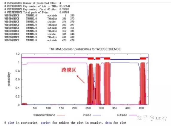 献给初学者：手把手教你在线预测蛋白质结构 - 知乎