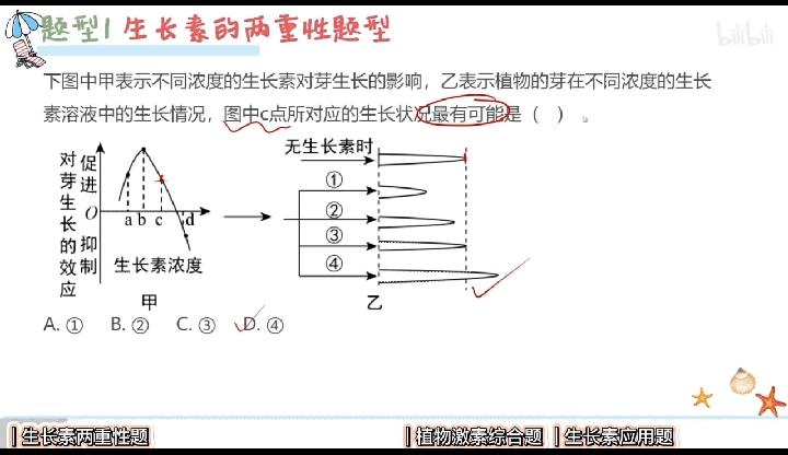 生物选一：植物生命活动的调节 - 知乎